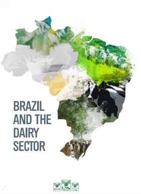 The Brazilian dairy sector | Brazilian Farmers