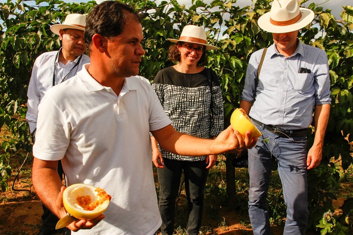 Foreign diplomats get immersed in Brazil’s agriculture in Bahia ...