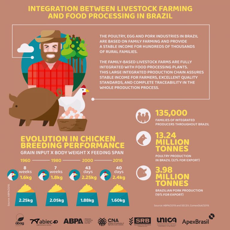 Integration between livestock farming and food processing in Brazil ...