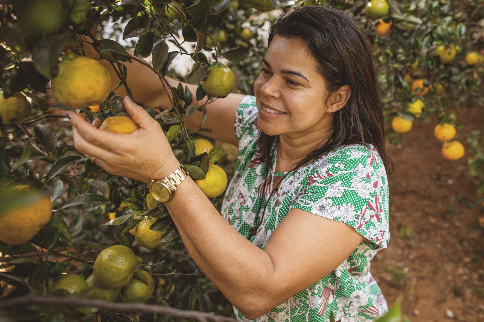 Social & economic development | Brazilian Farmers