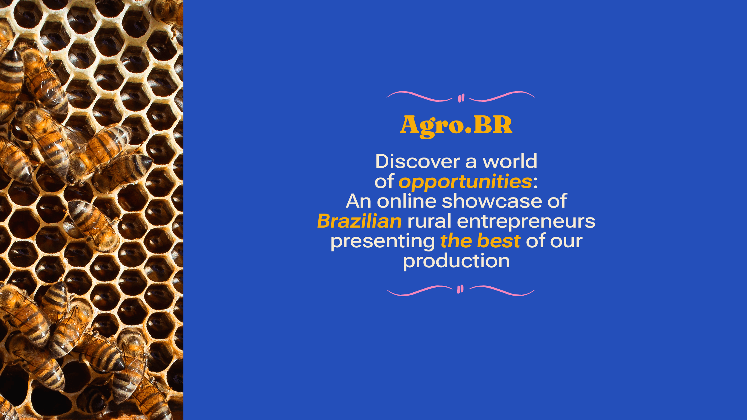 Agro.BR promotes Brazilian rural entrepreneurs' international trade ...