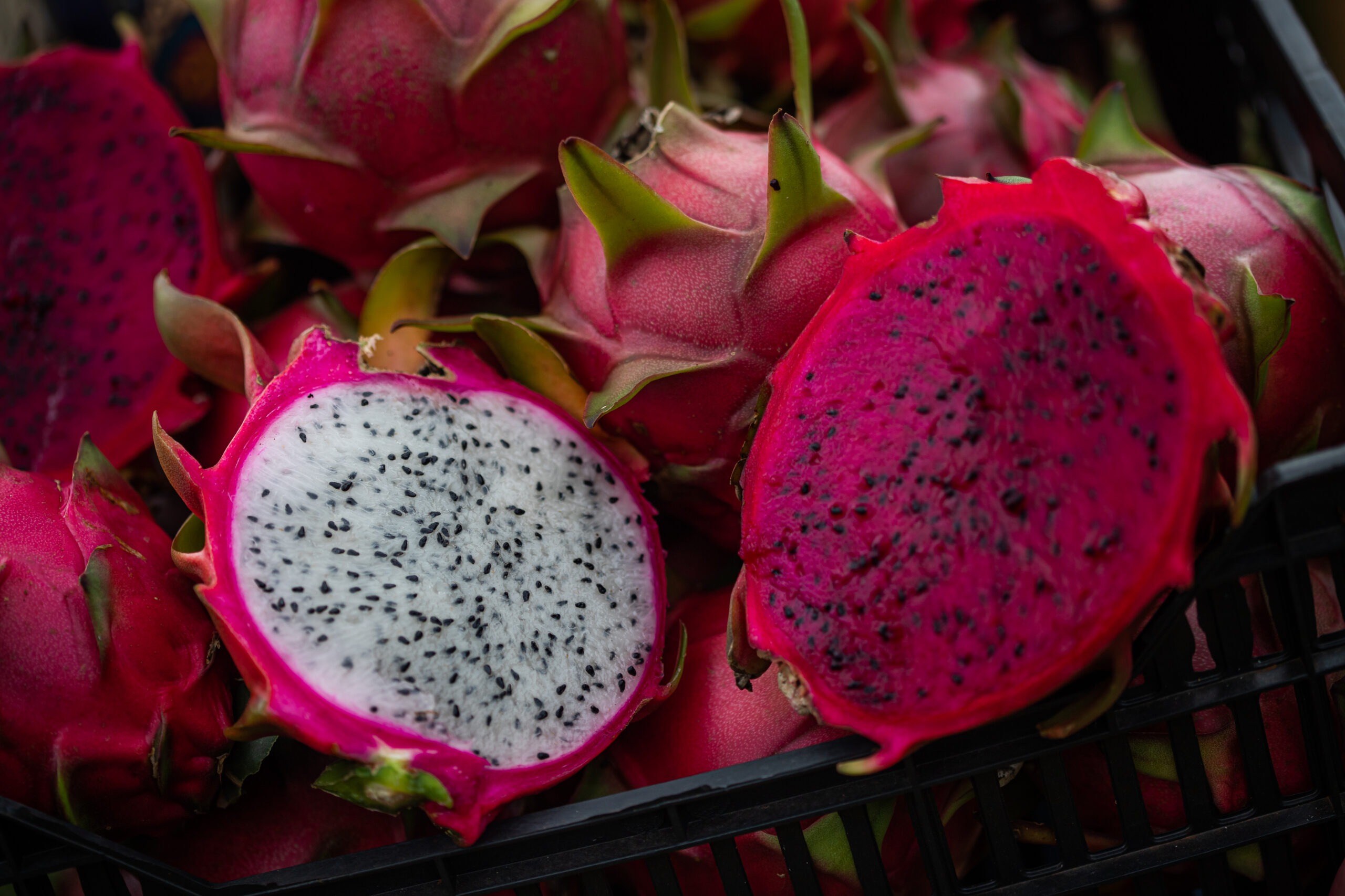 Brazilian scientists develop a natural pitaya-based colorant ...