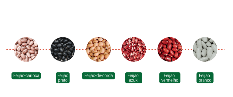 Diverse and delicious: meet Brazilian beans | Brazilian Farmers