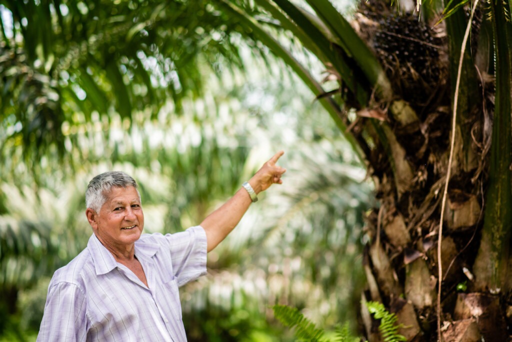 In Brazil, certified palm oil production changes families' lives ...
