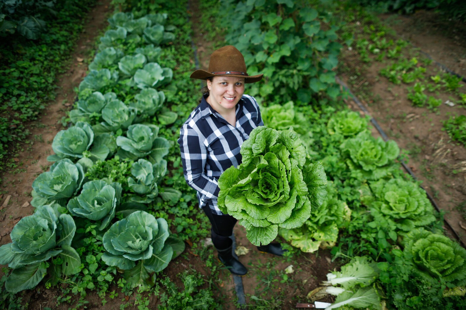 Vegetables | Brazilian Farmers