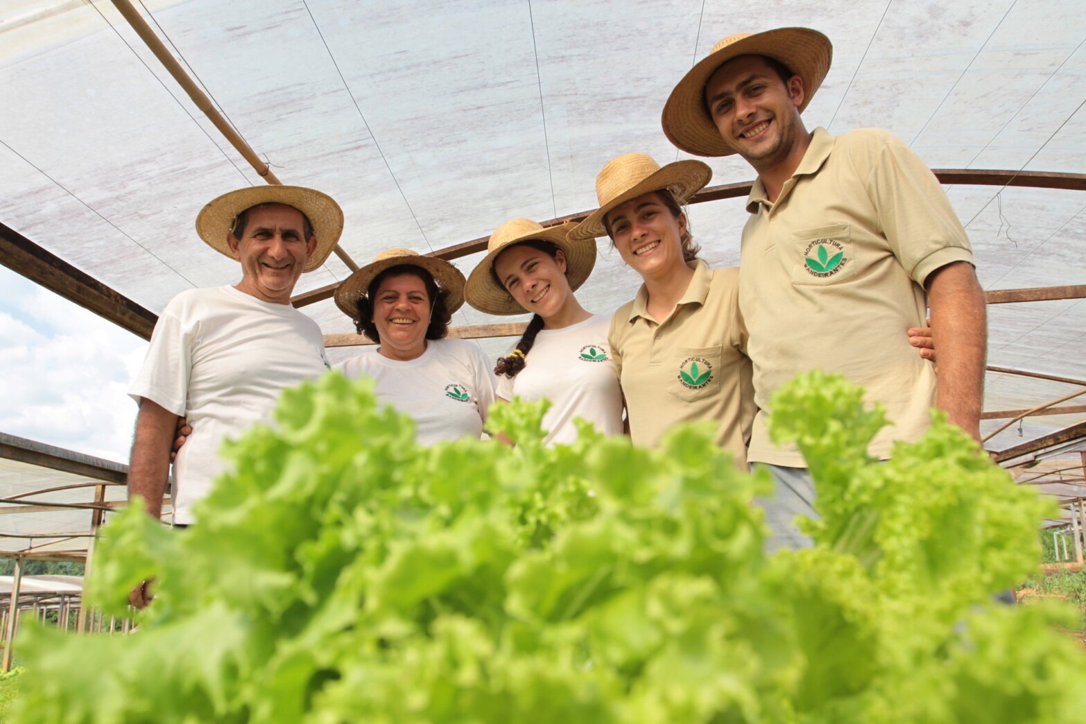 Vegetables | Brazilian Farmers