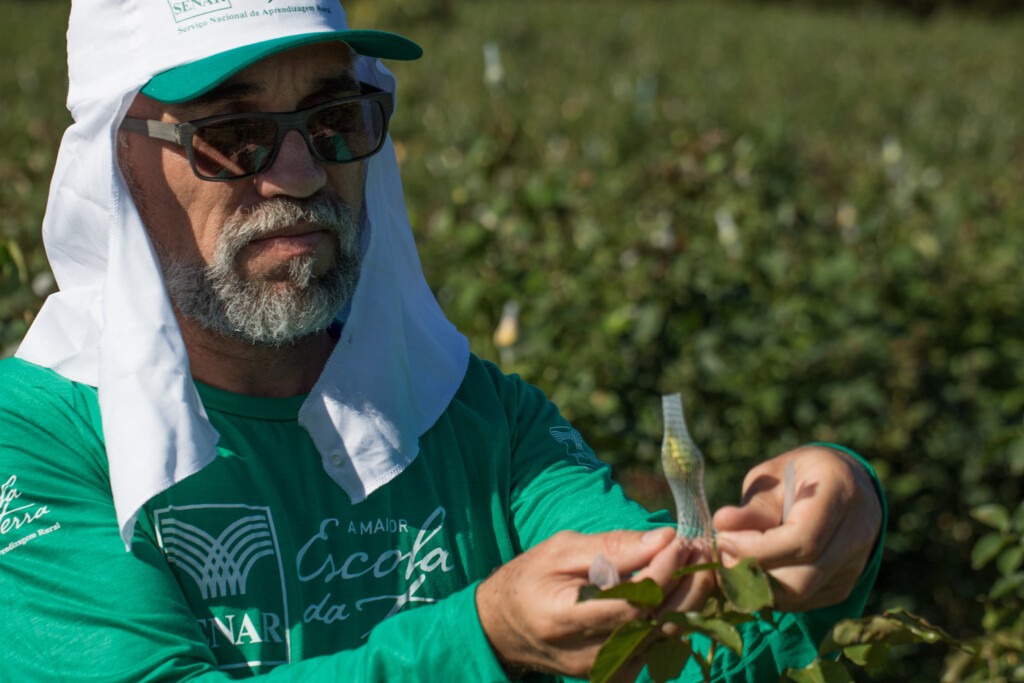 Flowers | Brazilian Farmers