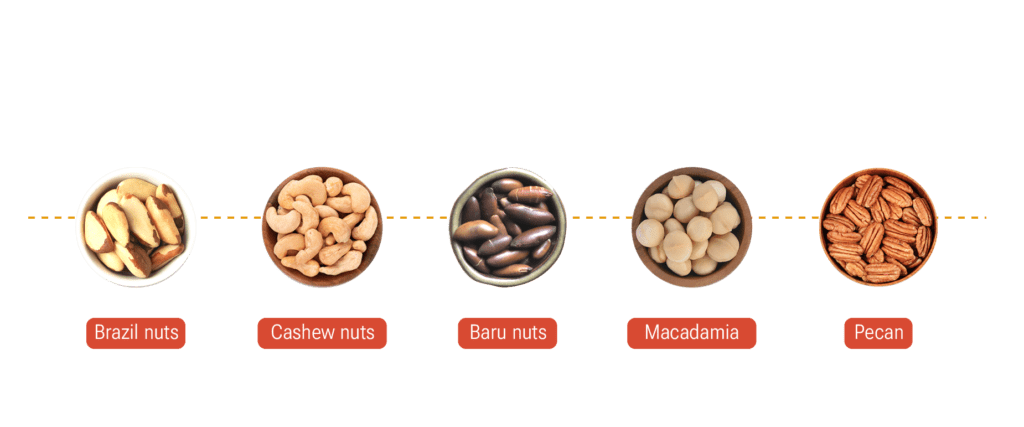 Full of nutrients and flavor, brazilian nuts are highly appreciated all ...