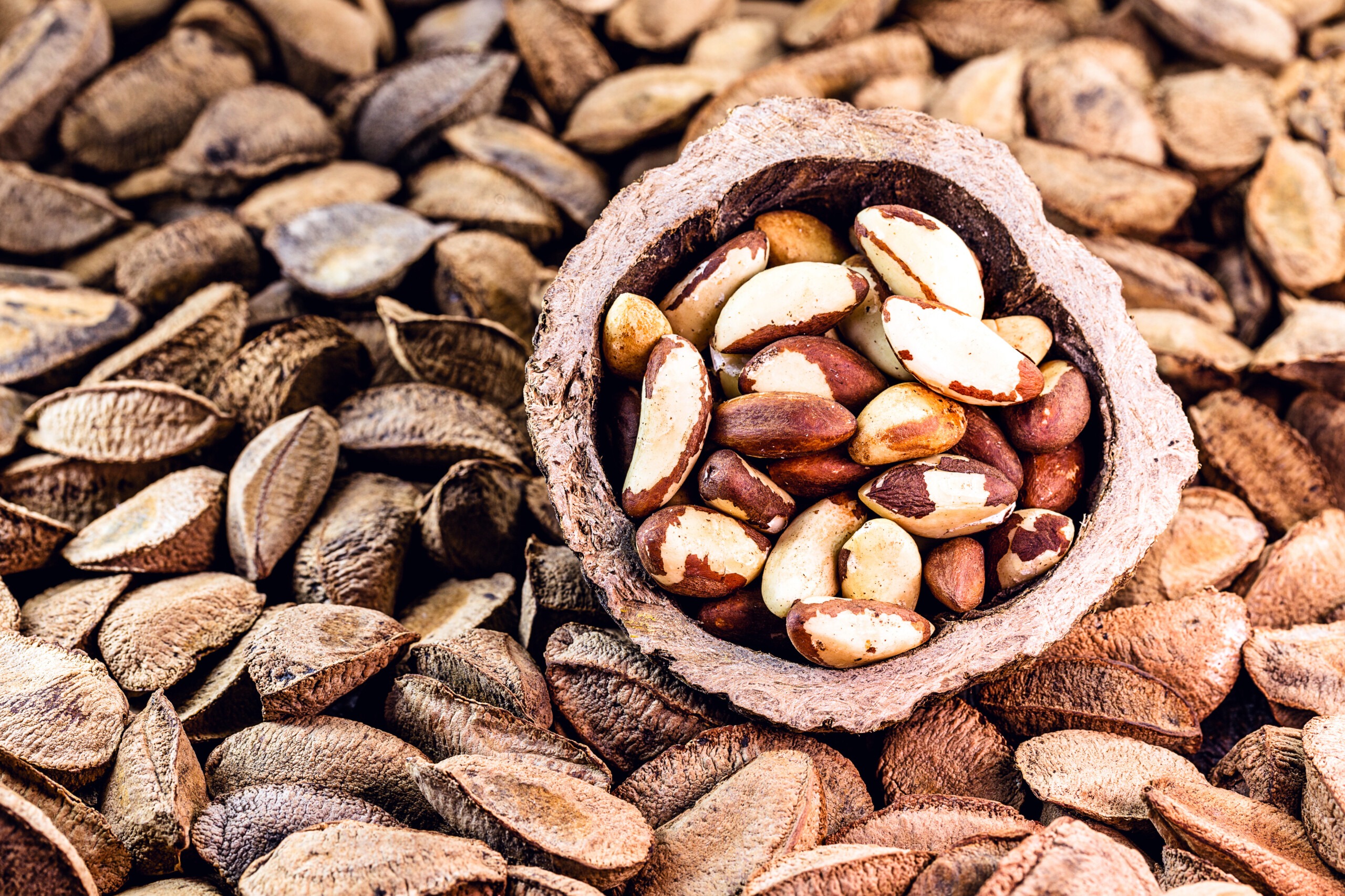 Full of nutrients and flavor, brazilian nuts are highly appreciated all ...
