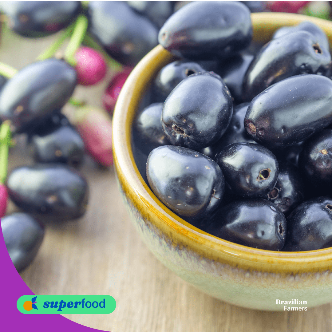 Jamelão: a Brazilian delight | Brazilian Farmers