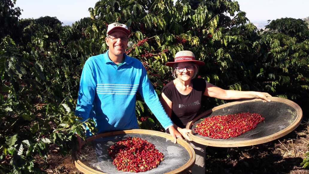 Specialty coffee from Brazilian family farming reaches Belgium and ...