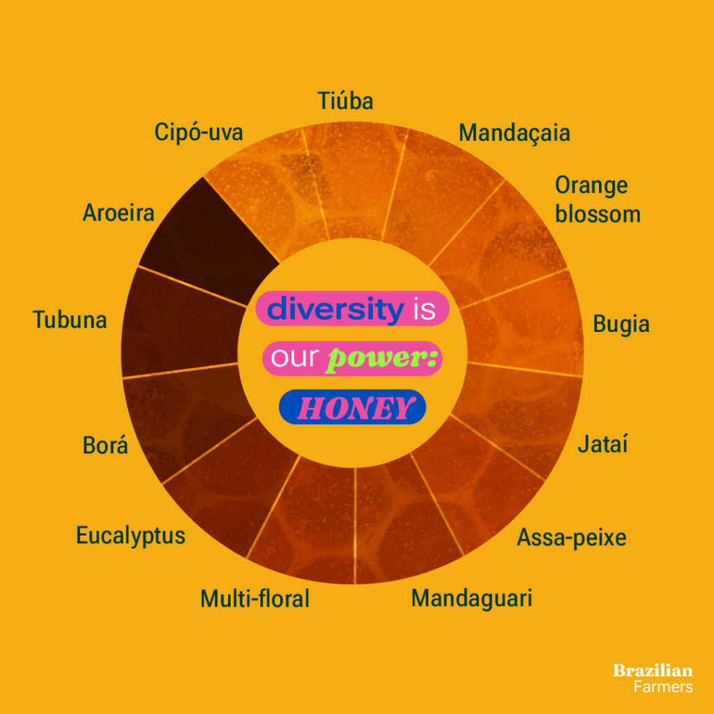 13 types of Brazilian honey (and why you should taste them) | Brazilian Farmers