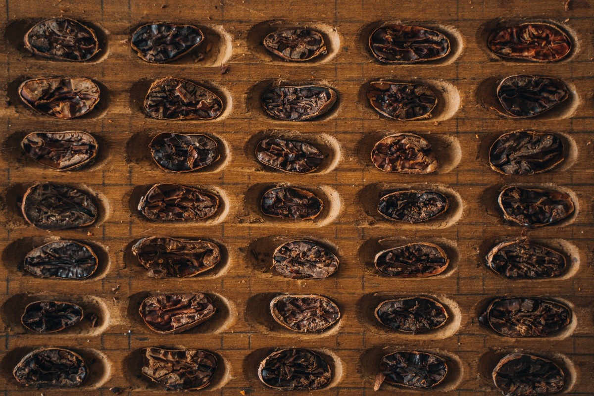 The Brazilian cocoa path to Swiss chocolate | Brazilian Farmers