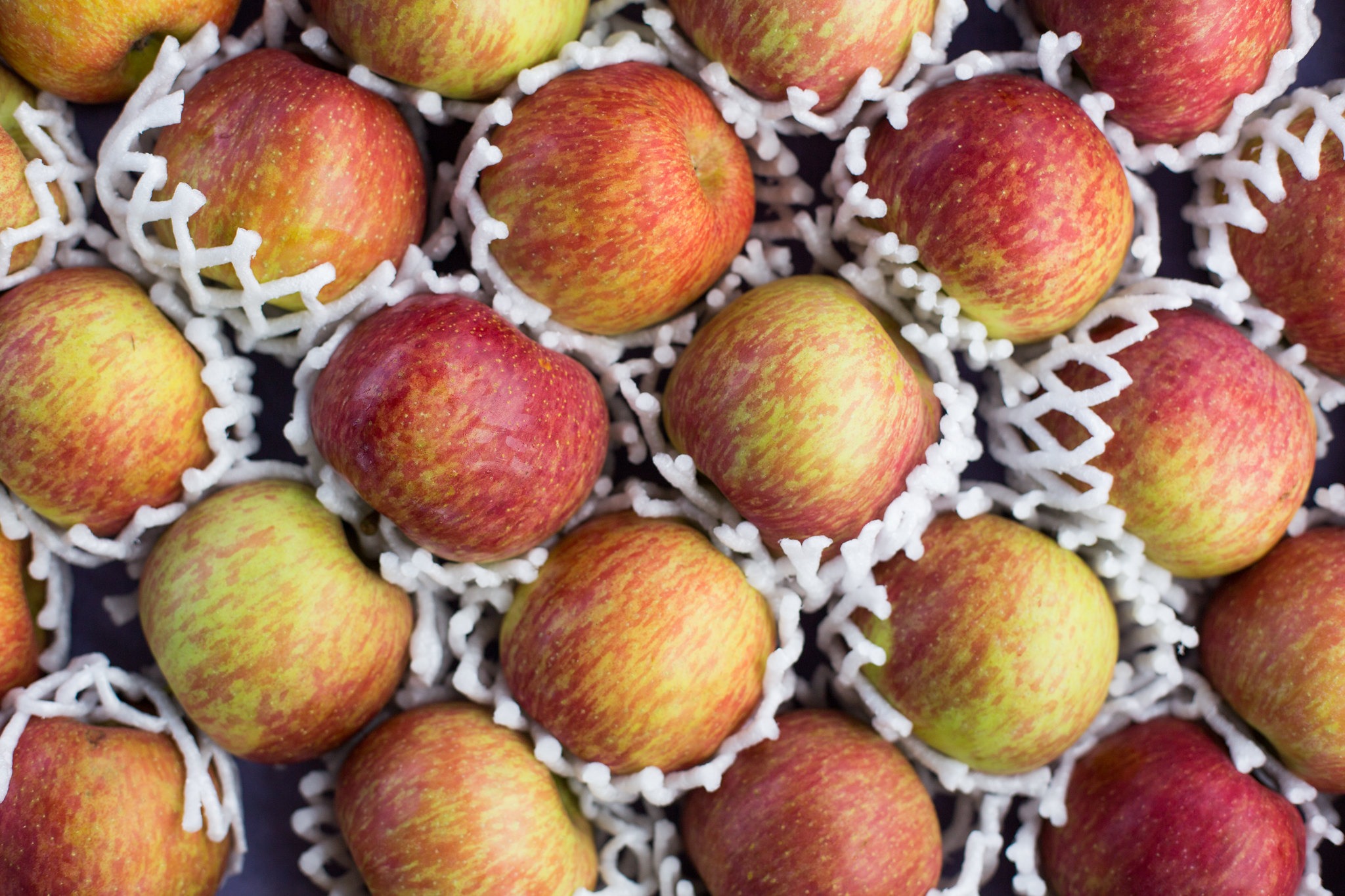 Brazilian 2022-2023 apple harvest promises even sweeter and more ...