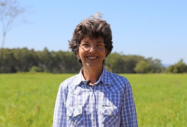 Beef | Brazilian Farmers
