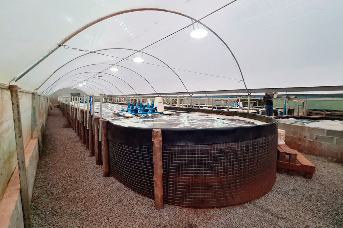 Fish farmer becomes a reference by adopting an innovative and ...