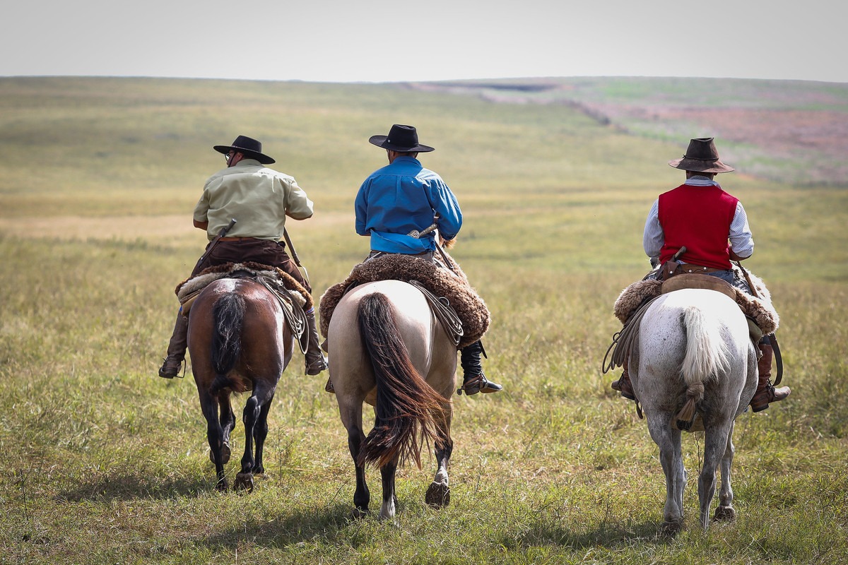 A new record: 28 million Brazilians work in agribusiness | Brazilian ...
