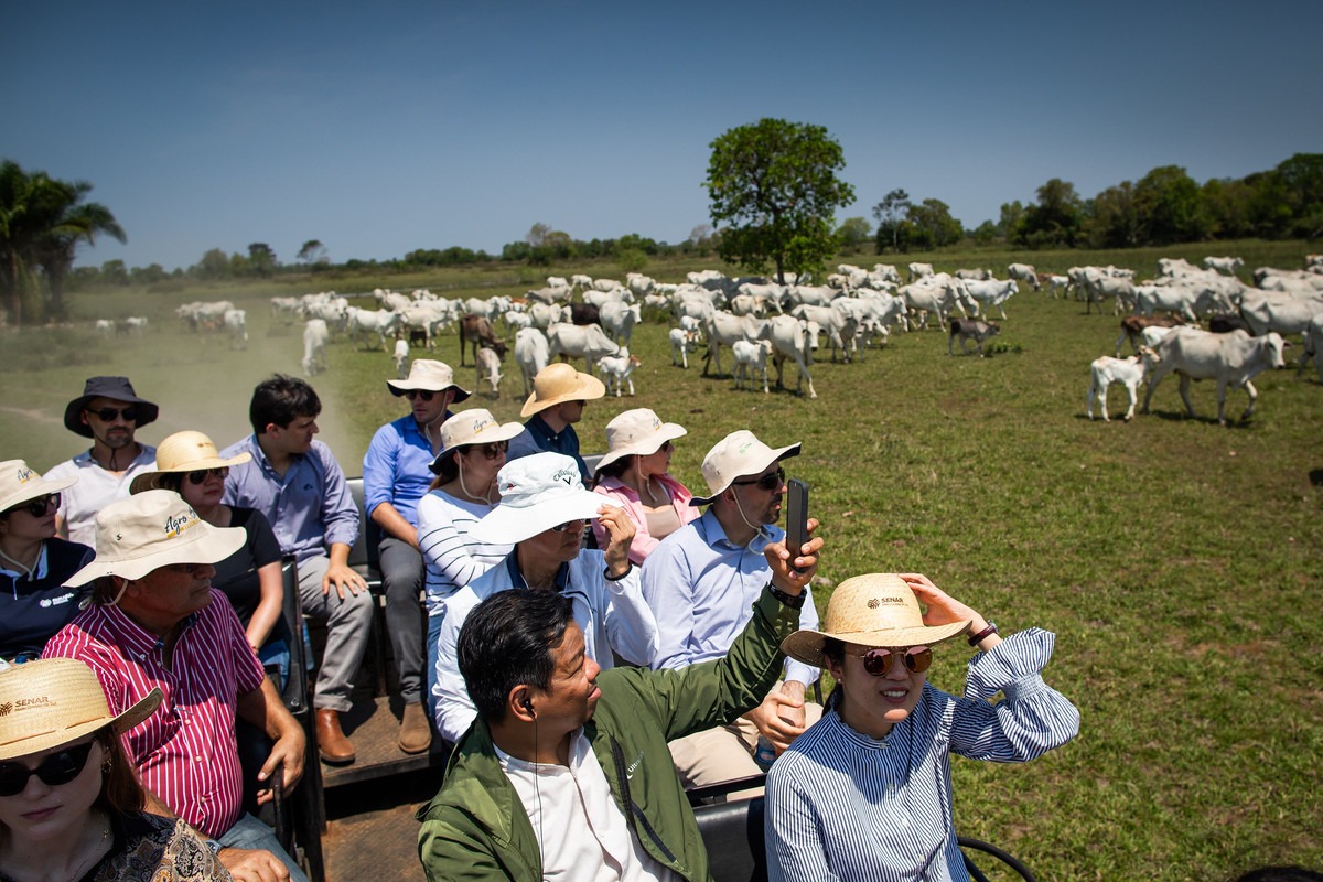 Ten international diplomats visit Brazil to learn about agribusiness in ...