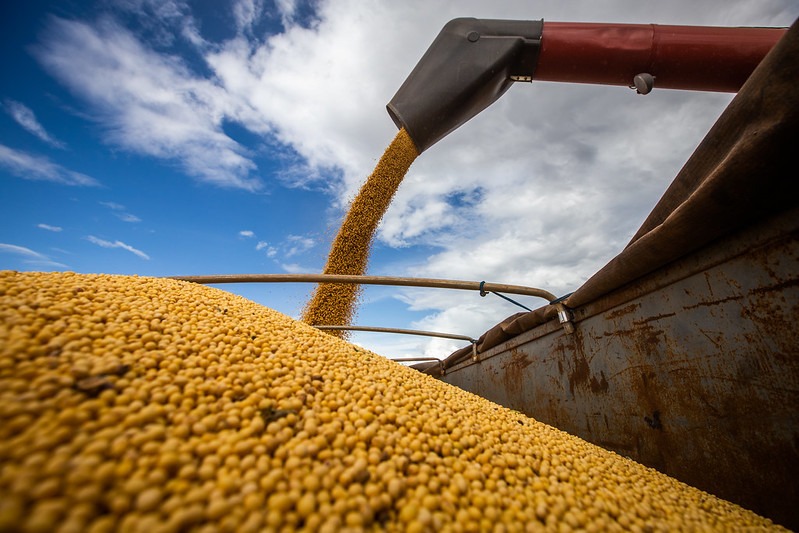 Brazilian soybean: nurturing growth, shaping economies | Brazilian Farmers