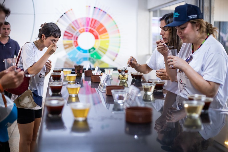 Exploring the heartbeat of Brazil: the Press Trip unveils coffee ...