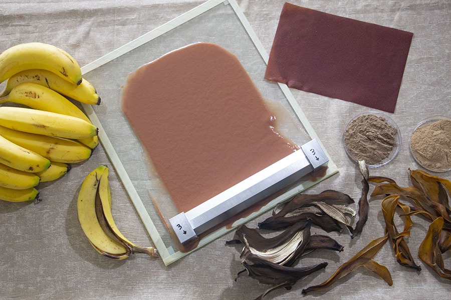 Brazilian Farmers innovate: Turning banana peels into bioplastic film | Brazilian Farmers