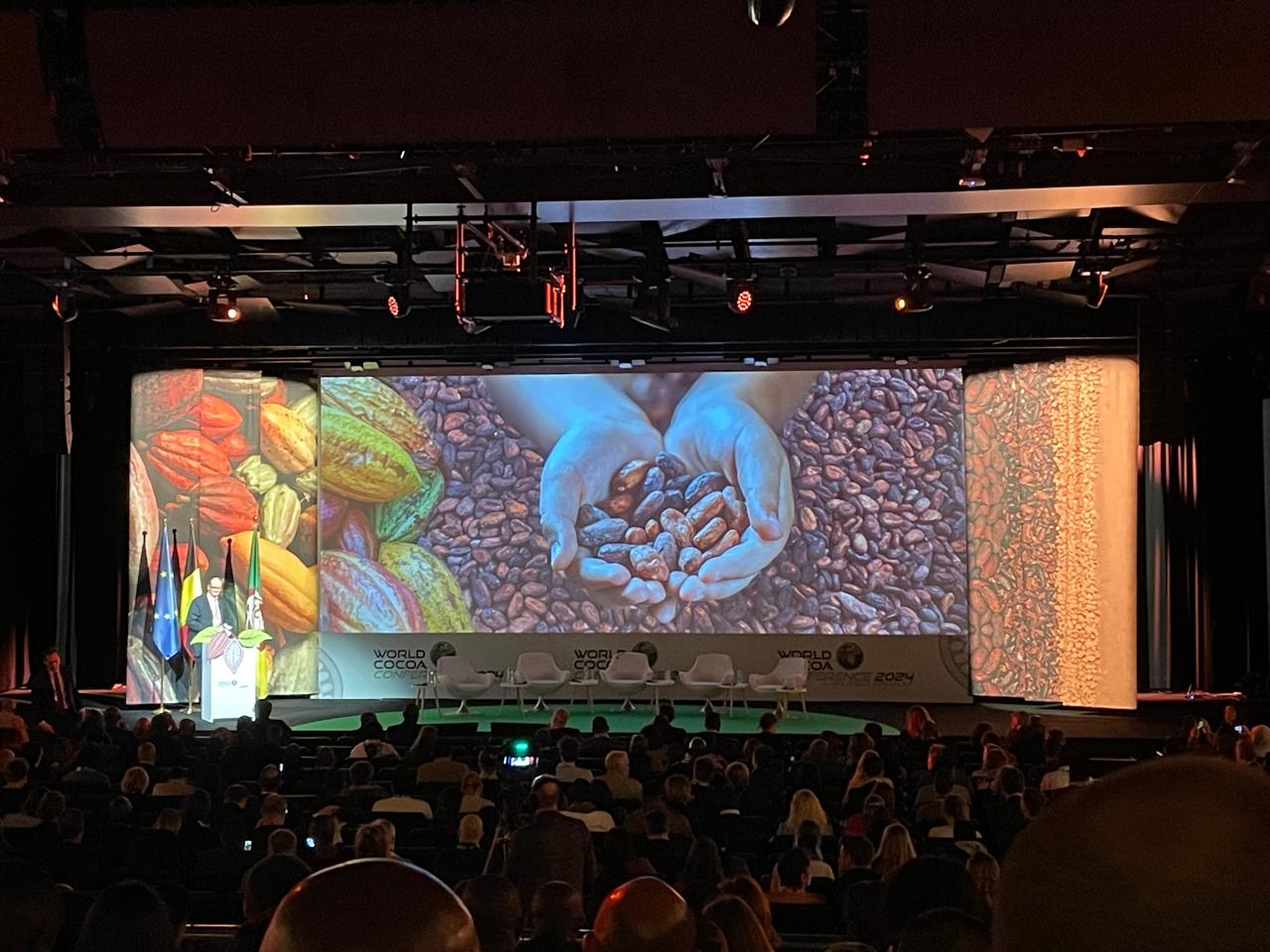 Brazil at the Forefront of the Global Cocoa Industry | Brazilian ...