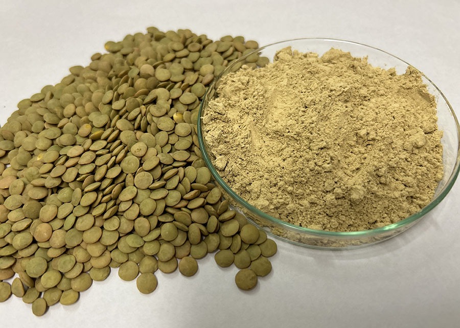 Super Foods: Brazilian Farmers Innovate with Lentil and Chickpea ...