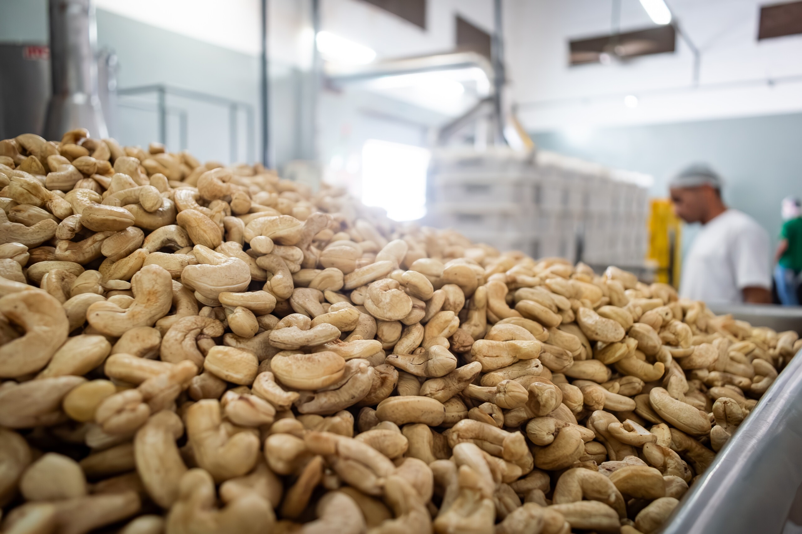 From Pacajus to the World: Suprema Caju's Cashew Export with Agro.BR ...