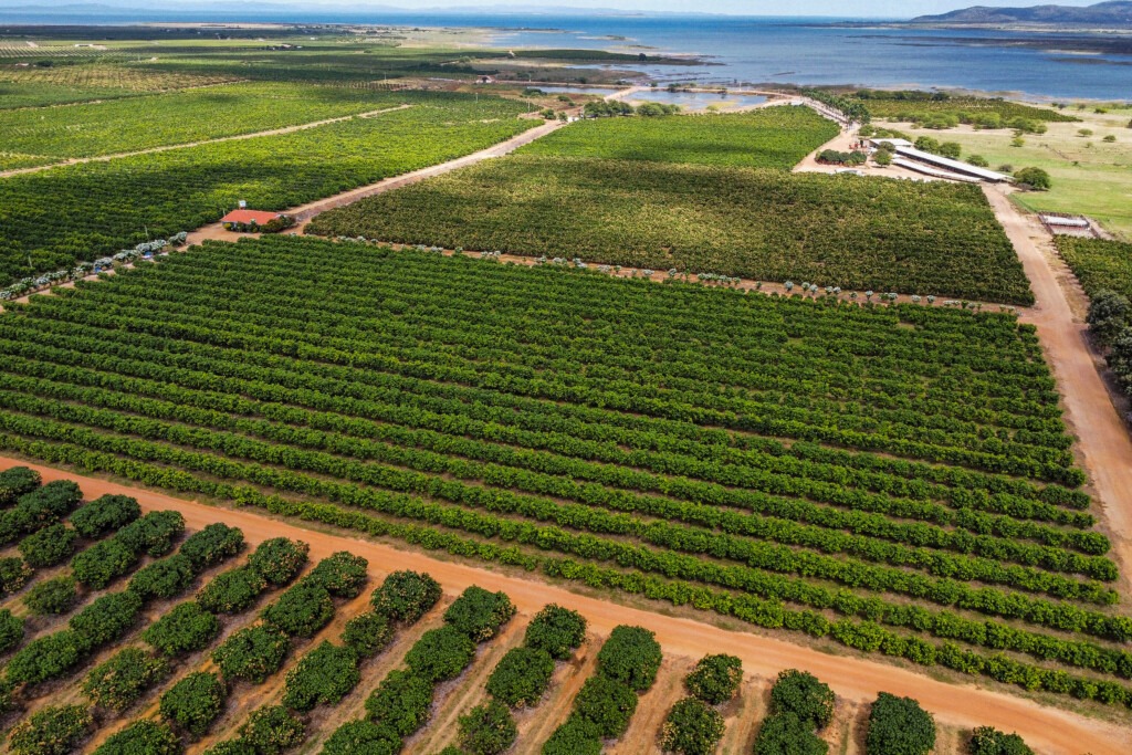 Discover the Beauty of Brazilian Agriculture Through Agro-Tourism ...