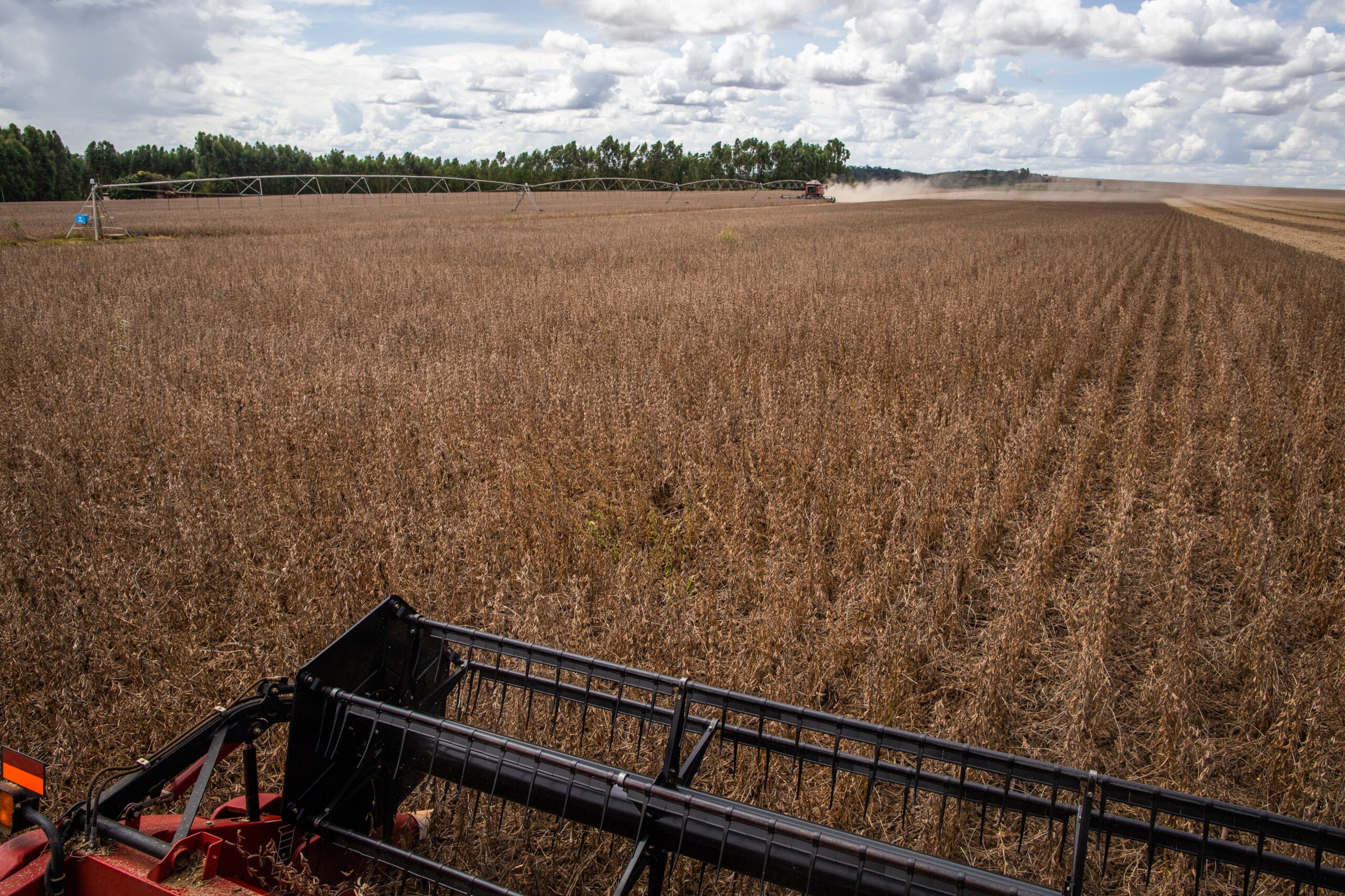 Soy Production in Brazil: Sustainable Practices, Production Technology ...