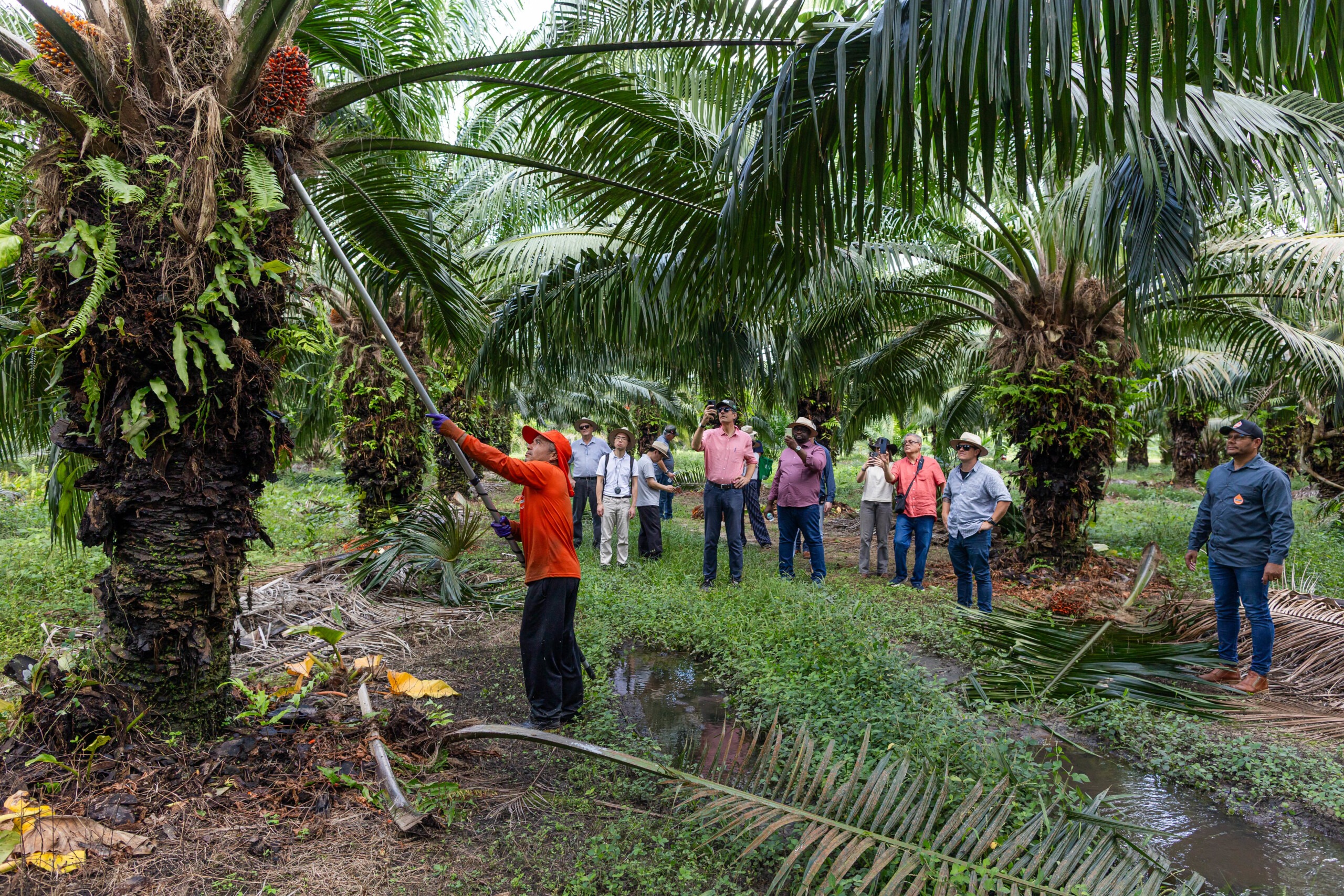 Diplomats experience sustainable farming practices at the 10th ...